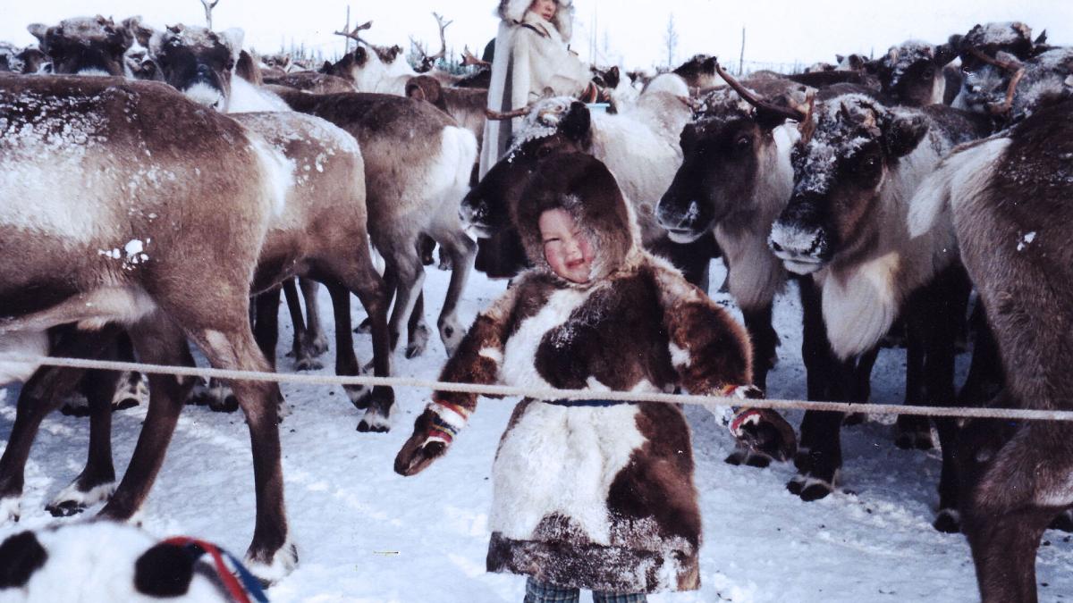 Entering a reindeer herder’s world | OM.org