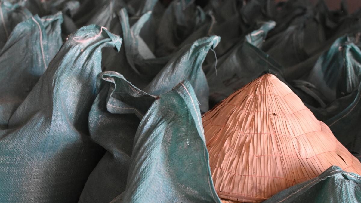 'Jesus is the ultimate discipler and role model' | OM.org